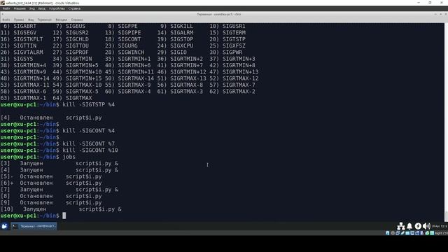 Linux Часть 1 Видео 19 Управление заданиями