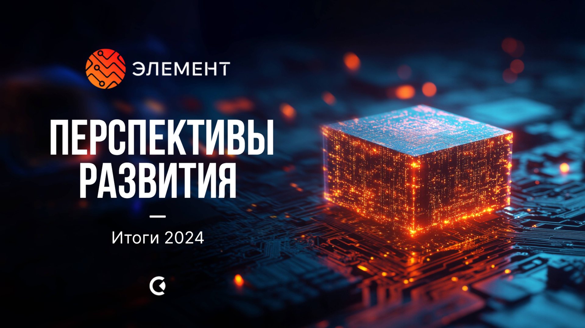 Элемент: итоги 2024 г. и перспективы развития