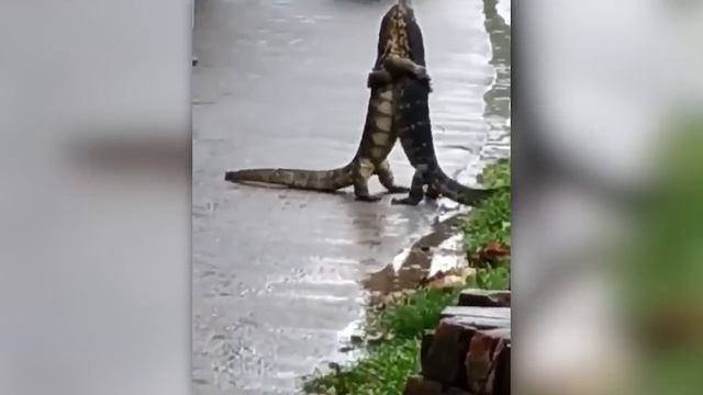 200 НЕВЕРОЯТНЫХ ВЕЩЕЙ, СНЯТЫХ НА КАМЕРУ. ЛУЧШЕЕ ЗА МЕСЯЦ