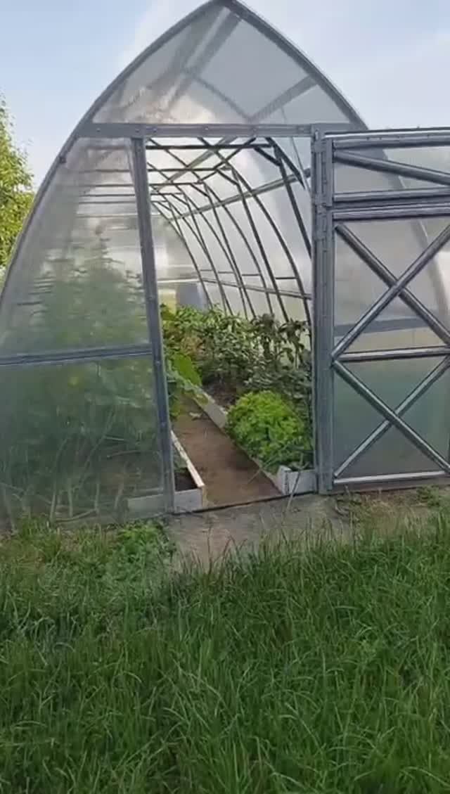 Дачный сезон в теплице Дачная-Стрелка