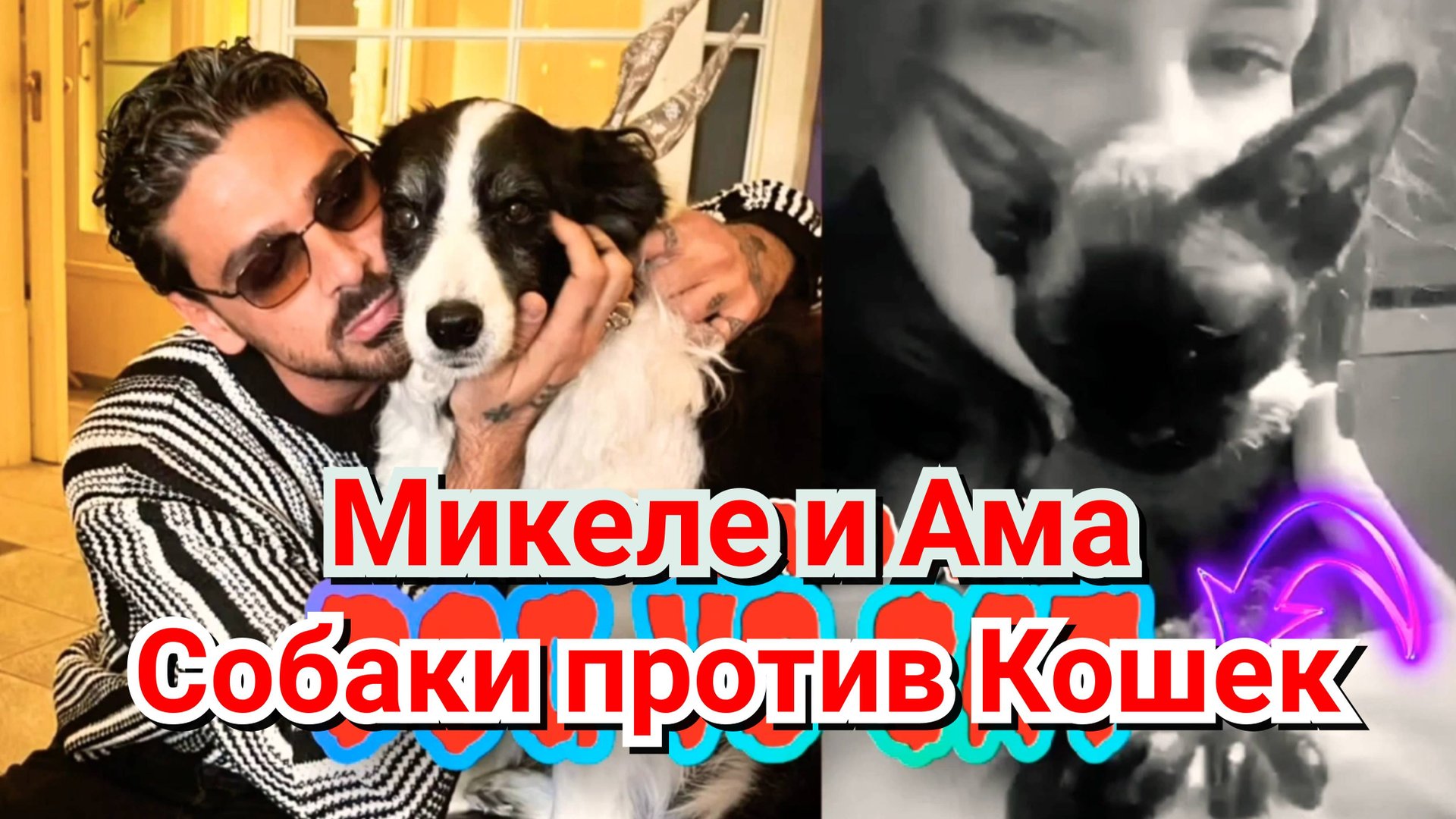 😍 МИКЕЛЕ МОРРОНЕ И АННА МАРИЯ СИКЛУЦКАЯ - КОШКИ ПРОТИВ СОБАК ♥️ 2022