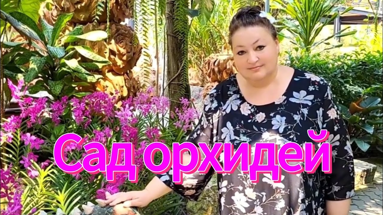 38 серия. Паттайя. Сад орхидей в Парке Нонг Нуч. Февраль 2024 г.