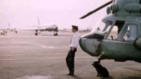 Амандык Курманбаев. Чито грито. 80-е. Подпишитесь на канал.