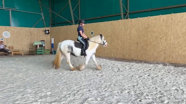 Приглашаем на занятия