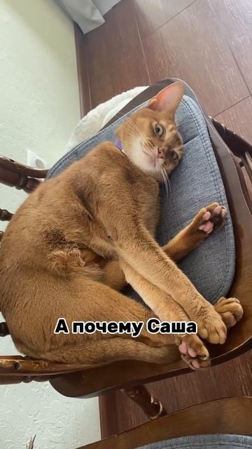 Утро доброе, но чуть позже. Почему ночью сложно уснуть, а сейчас глаза не открыть…?