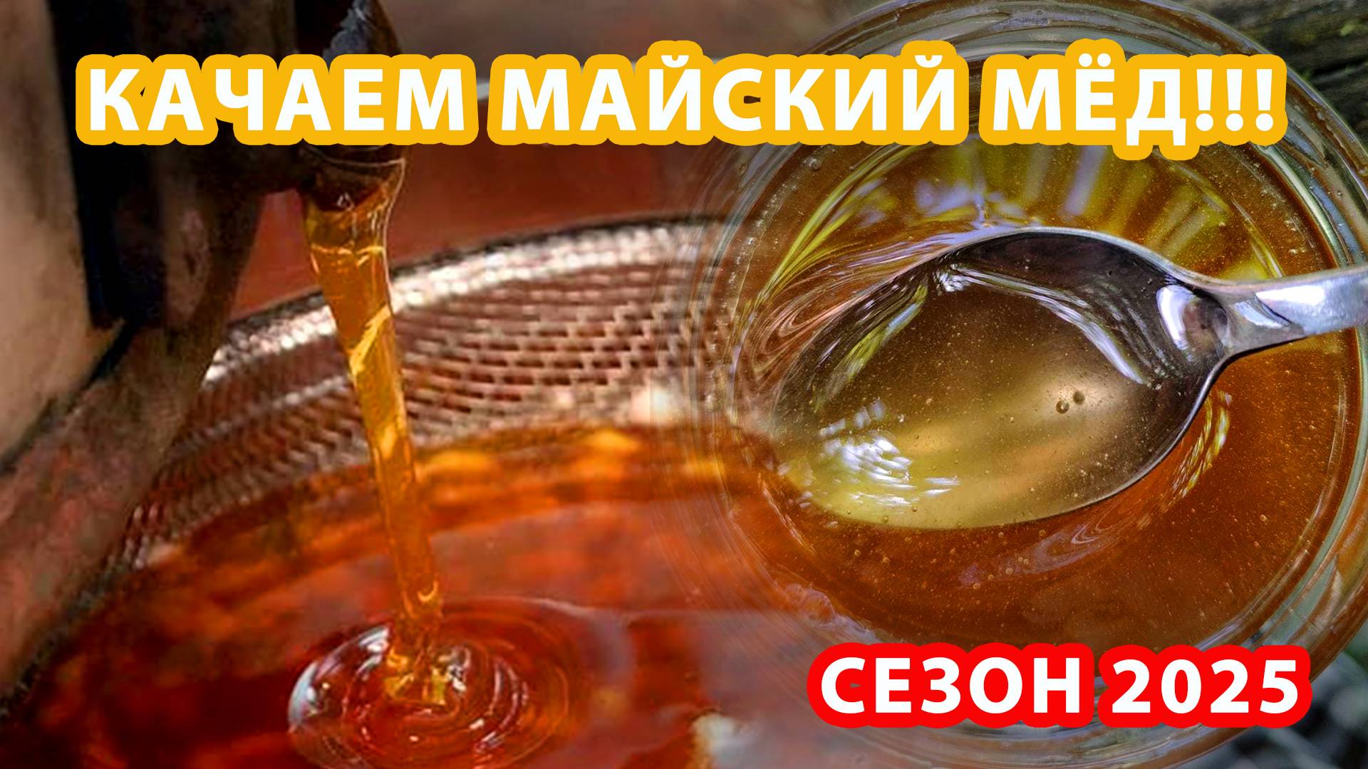 КАЧАЕМ МАЙСКИЙ МЁД