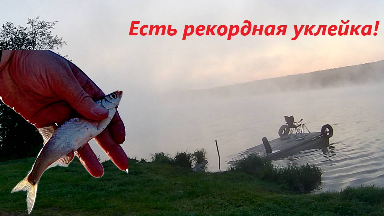 Ловля плотвы и трофейной уклейки на маховую удочку