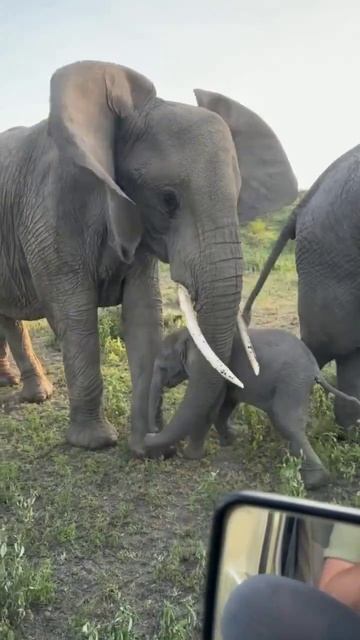 За детьми, как обычно, глаз да глаз