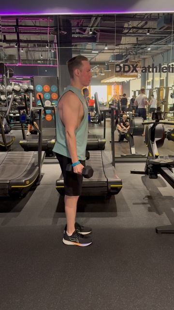 Бицепс. Сгибания рук с гантелями стоя