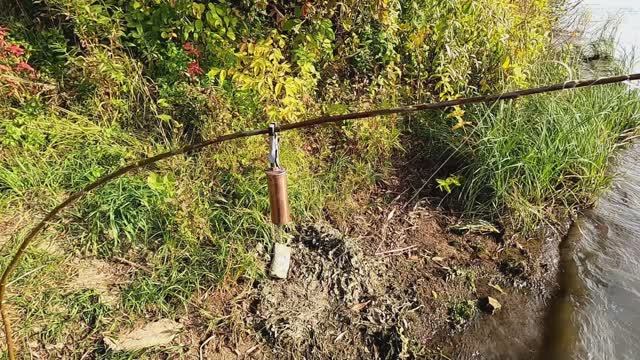 Рыбалка на Оке. Резинка отлично ловит хищника