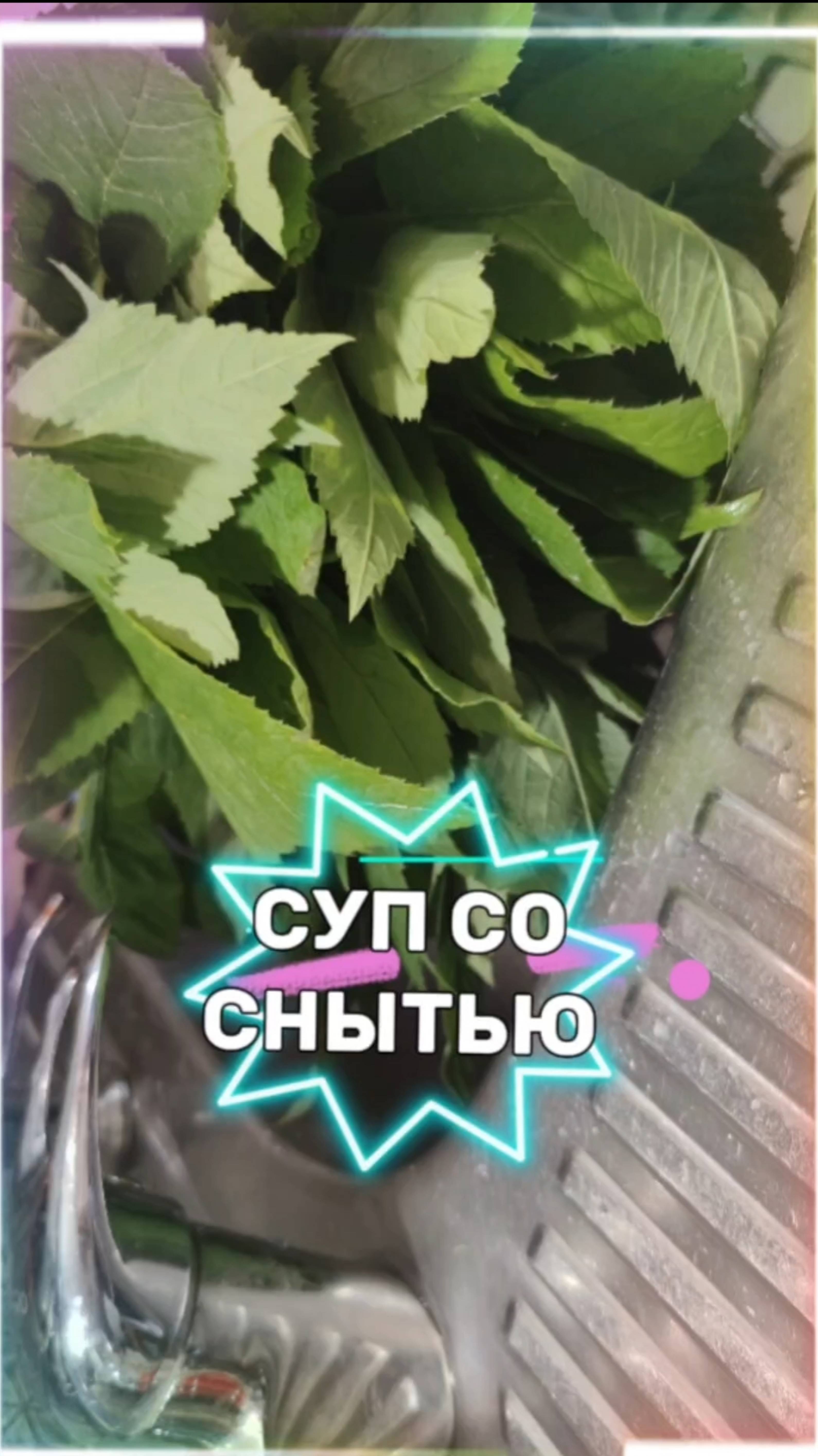 ПЕРЕШЛИ НА СОРНЯКИ. ВАРИМ СУП ИЗ СНЫТИ! 🤣🤣🤣