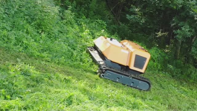 Rapid RoboFlail - гусеничная косилка для склонов на радиоуправлении