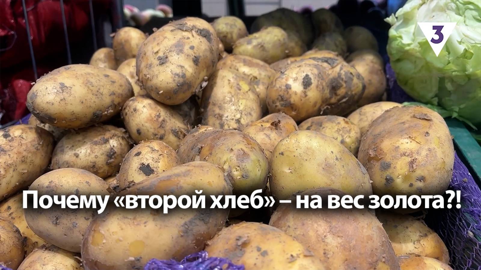 Почему «второй хлеб» – на вес золота?! / «Итоги с Малькевичем» на «ТВ-3»