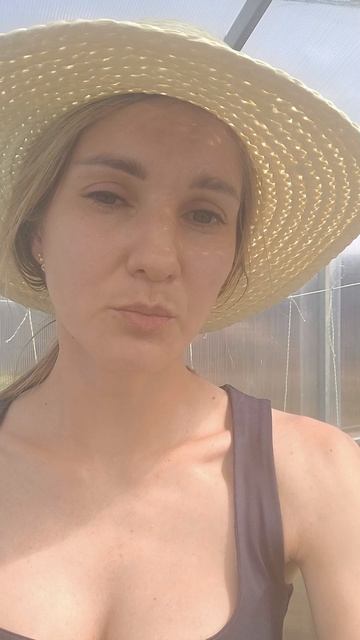 сезон теплицы, бассейна и садовых качелей