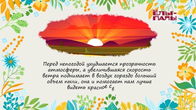 🌿 ЛЕТА ПРИМЕТА от "ЁЛЫ-ПАЛЫ"! 🌿