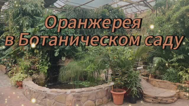 4 ч. Оранжерея Ботанического сада-института ДВО РАН. Много экзотики. Можно прикупить домой 😉