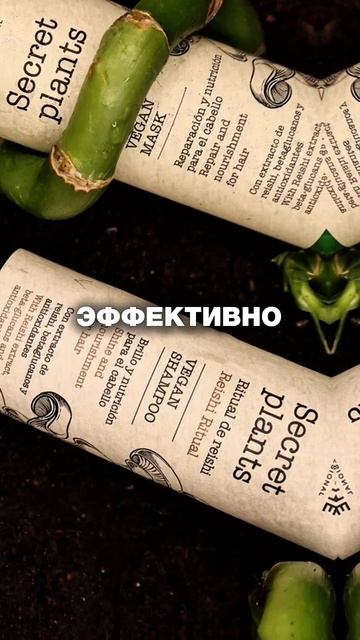 Уже доступно к заказу!