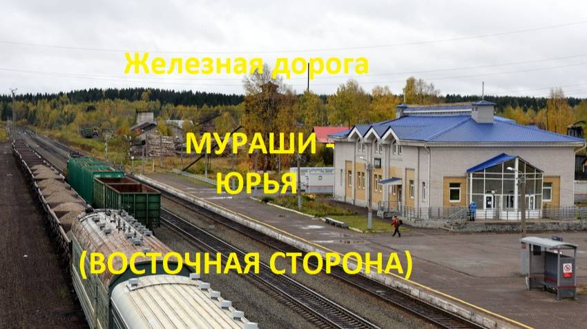 Железная дорога Мураши - Великая - Юрья (вид из окна поезда, восточная сторона) (ГЖД)