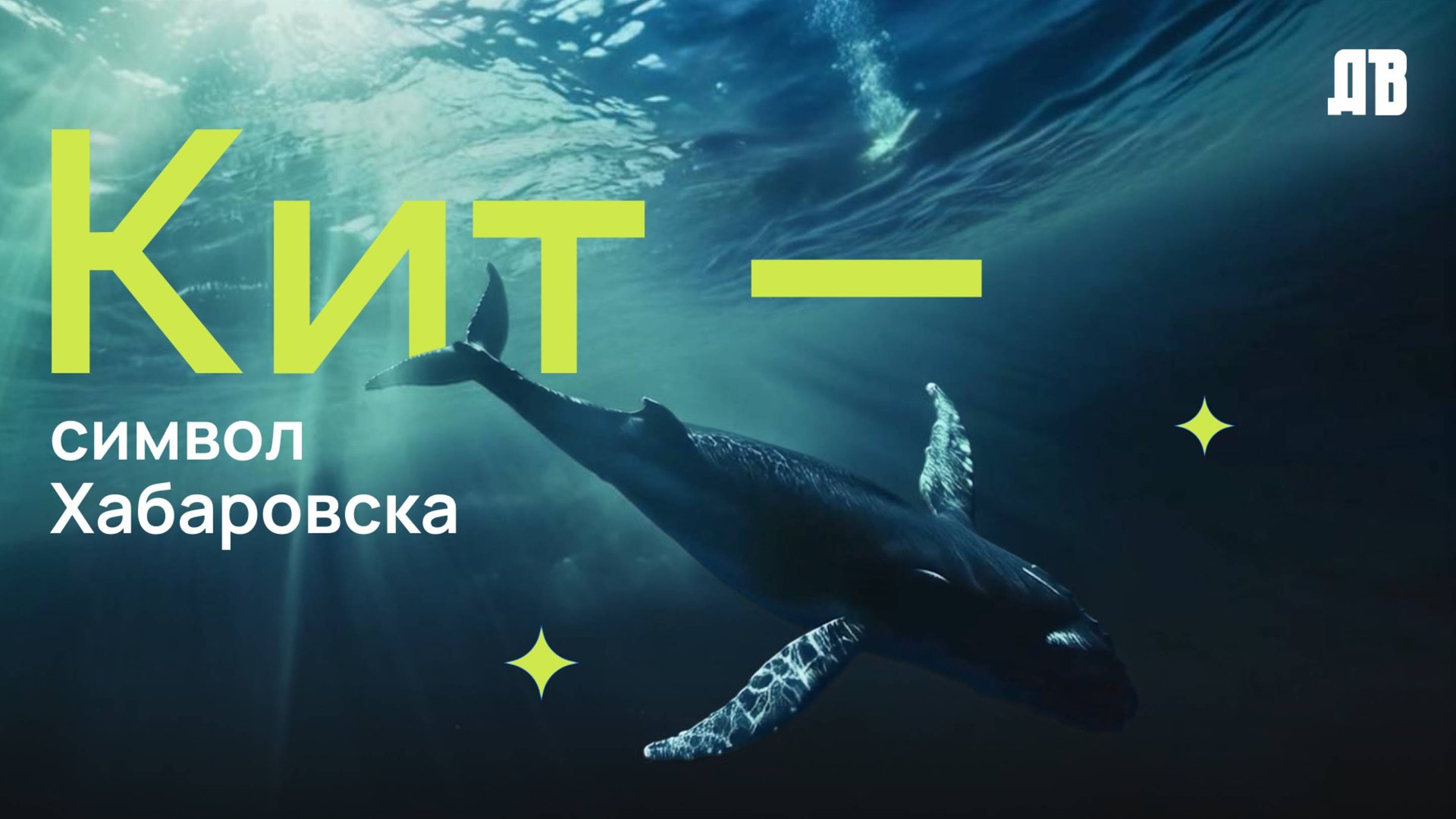 Увидеть хабаровских китов