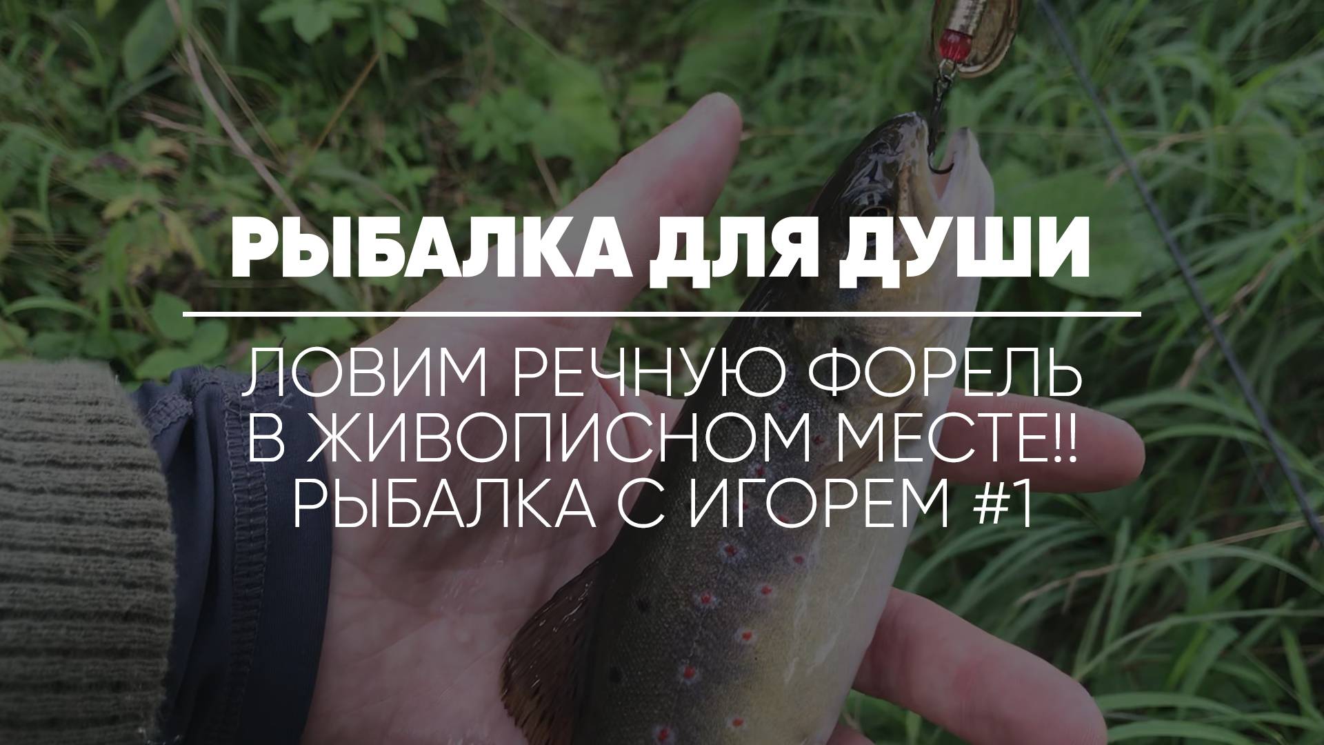 РЫБАЛКА ДЛЯ ДУШИ // Ловим речную форель в живописном месте!! Рыбалка с Игорем #1