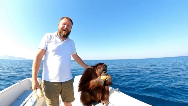 Сочи. 🌴 На море 🌊. Прогулки на яхтах ⛵️