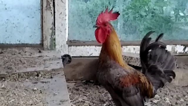 VID_20230527_184321