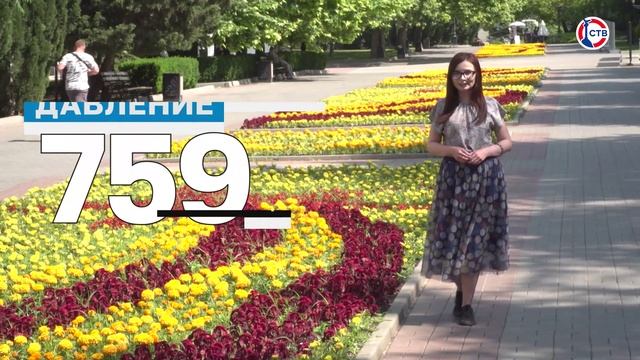 Прогноз погоды на 12 июня