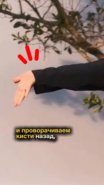 Зарядка от сутулости