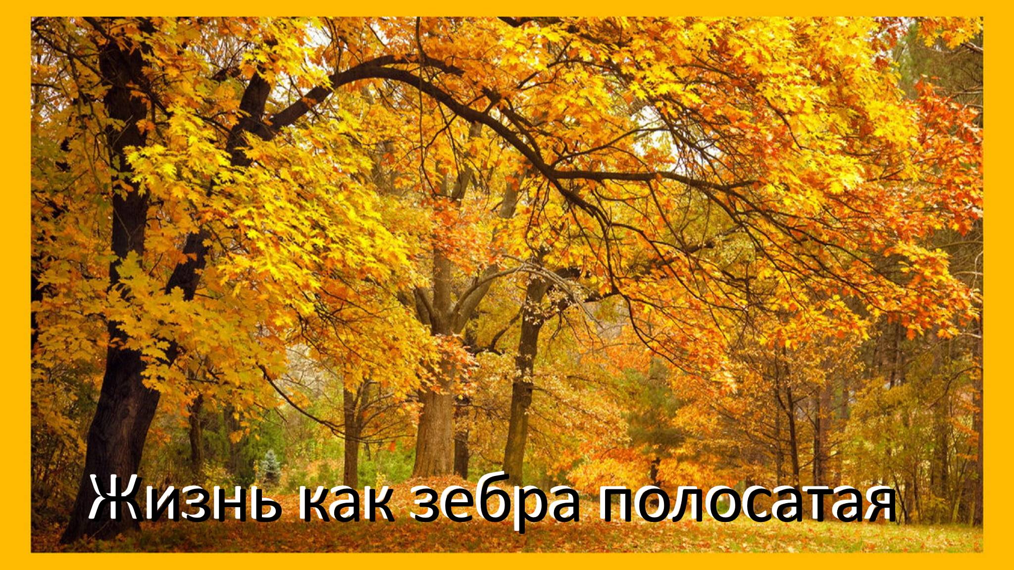 Что можно приготовить из свиного рагу с картошкой на плите ...._