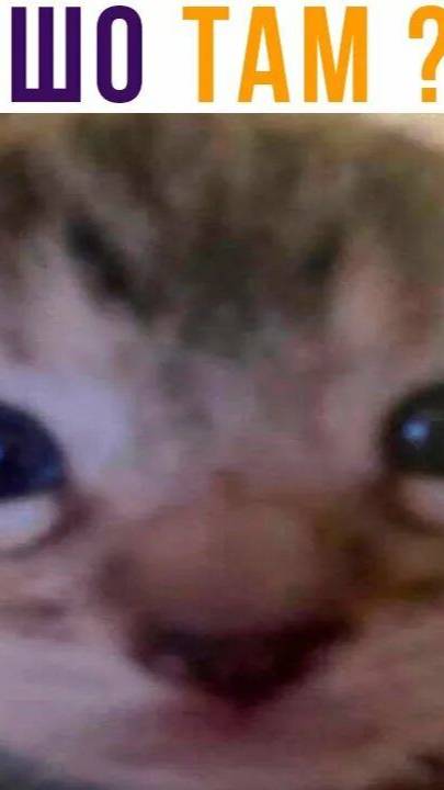 Обзорчик на 1 из 1000 площадок в санатории