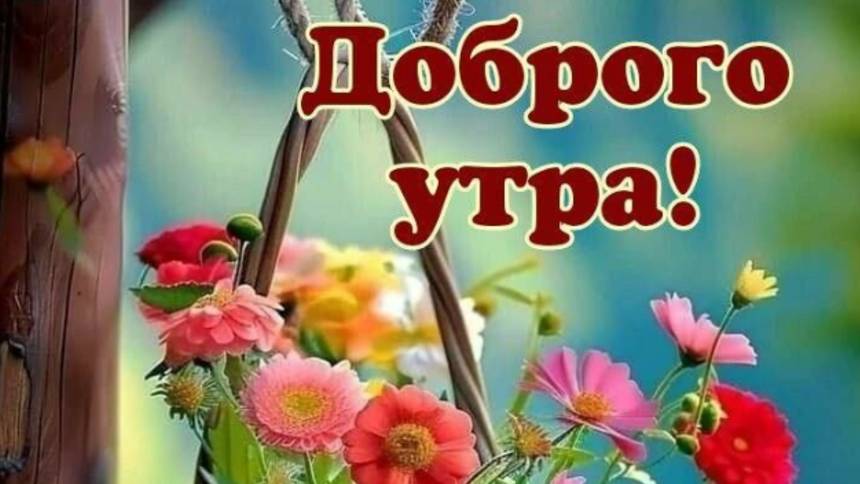 С Добрым утром, хорошим днем