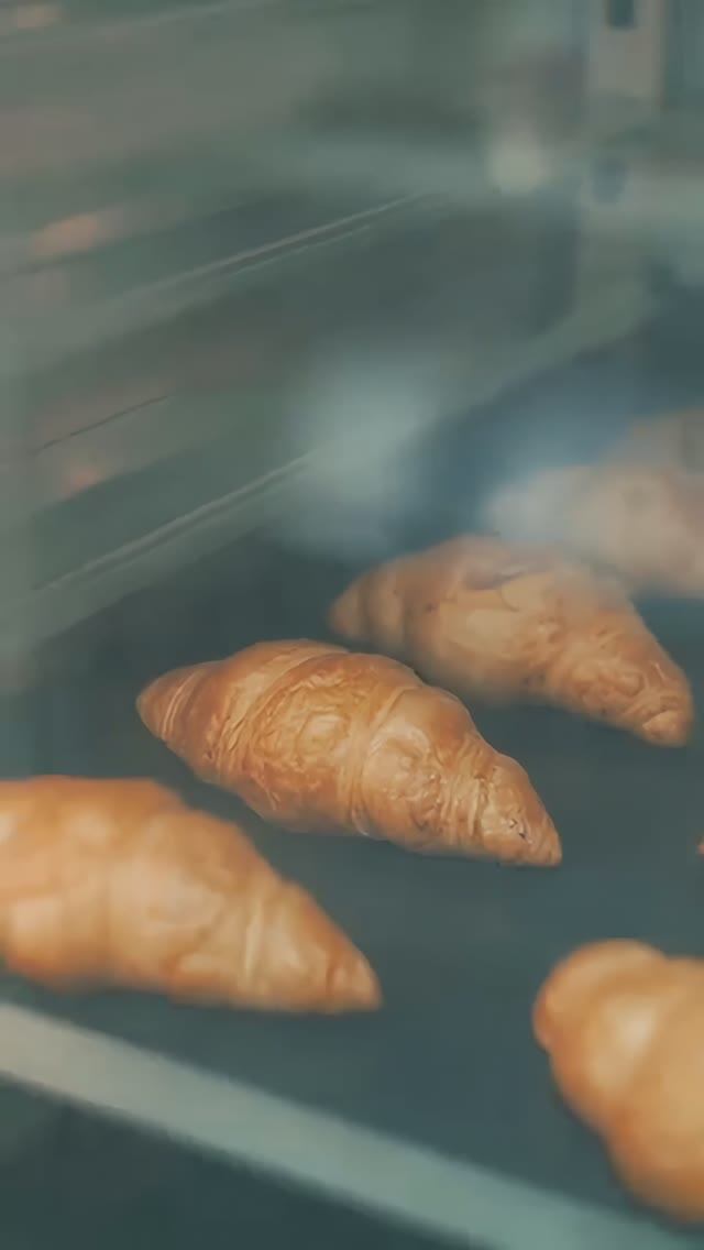 Приготовление круассанов на итальянском пароконвектомате Venix