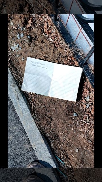 "Потеряшки" по дороге из школы