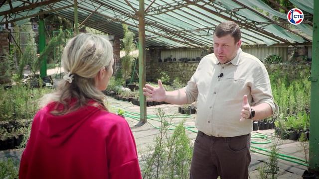 Работа Севастопольской дирекции ООТ лесного хозяйства (Море интересного. 11 июня 2025)