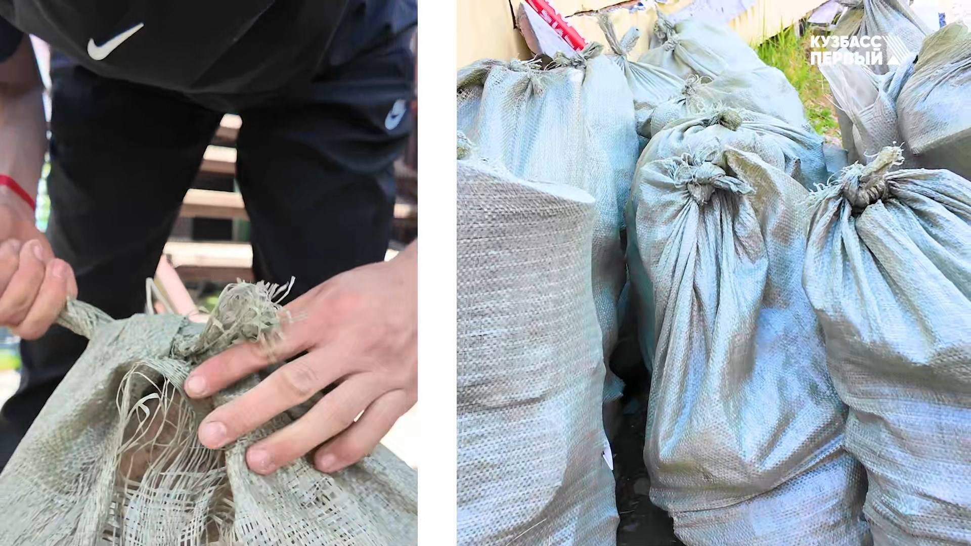 Специальный репортаж. Экофест 2025