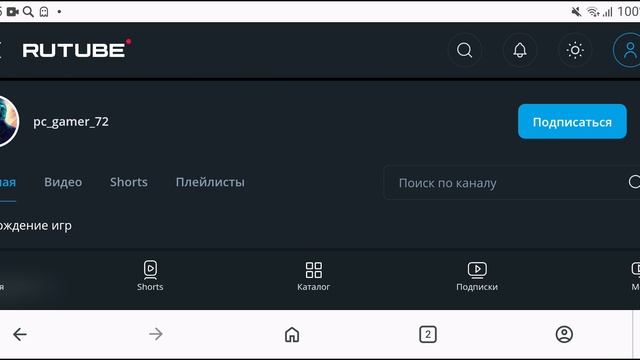 Обзор на RuTube-канал pc_gamer_72