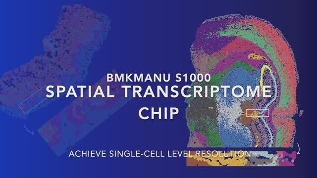 S1000 spatial transiptome chip promo 1