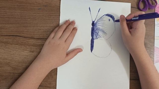 рисуем бабочку ручкой