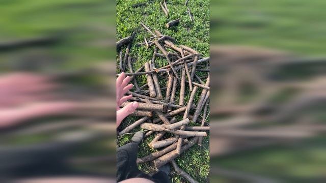 Бюджетная пила против реальной работы Deko DKCHS 20