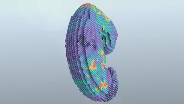 S1000 spatial transiptome chip promo 2