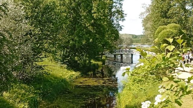 Музей-заповедник Михайловское. Парк, пруды, горбатый мостик, остров уединения.