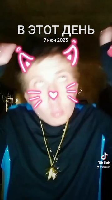 котик пушистый