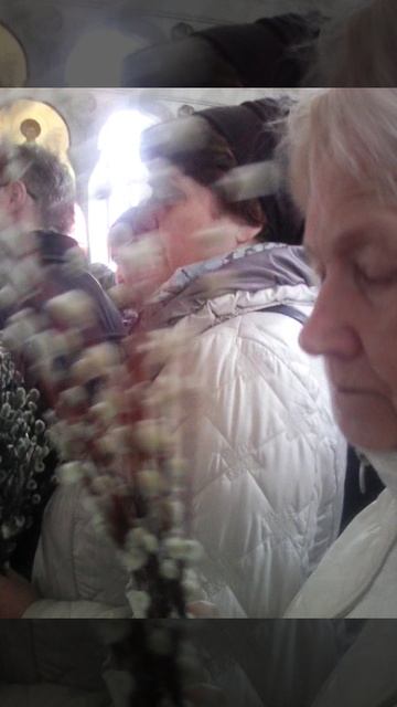 Вербное  2017 Моя Матушка Лидия