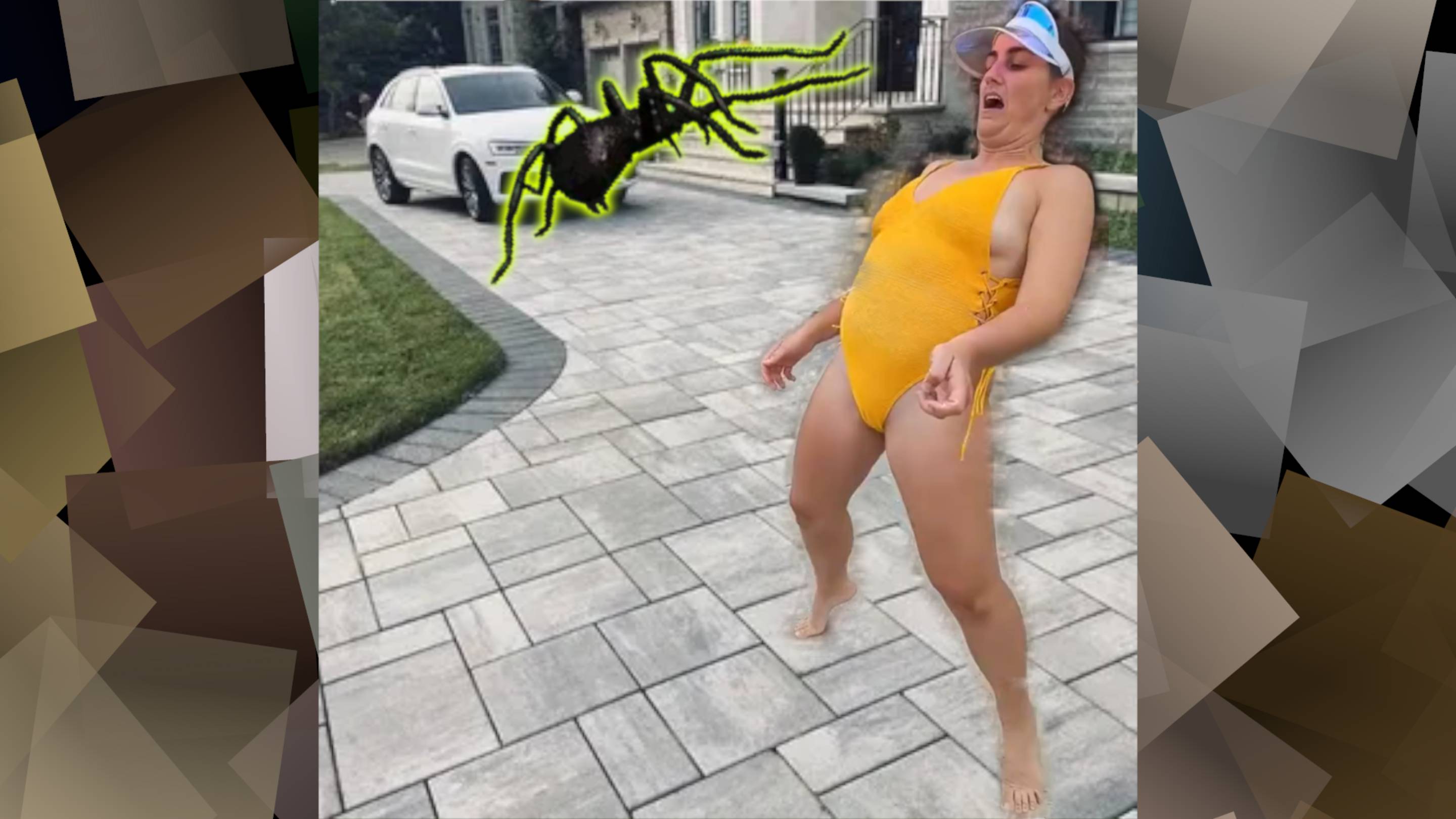 СМЕШНЫЕ ВИДЕО И ПРИКОЛЫ