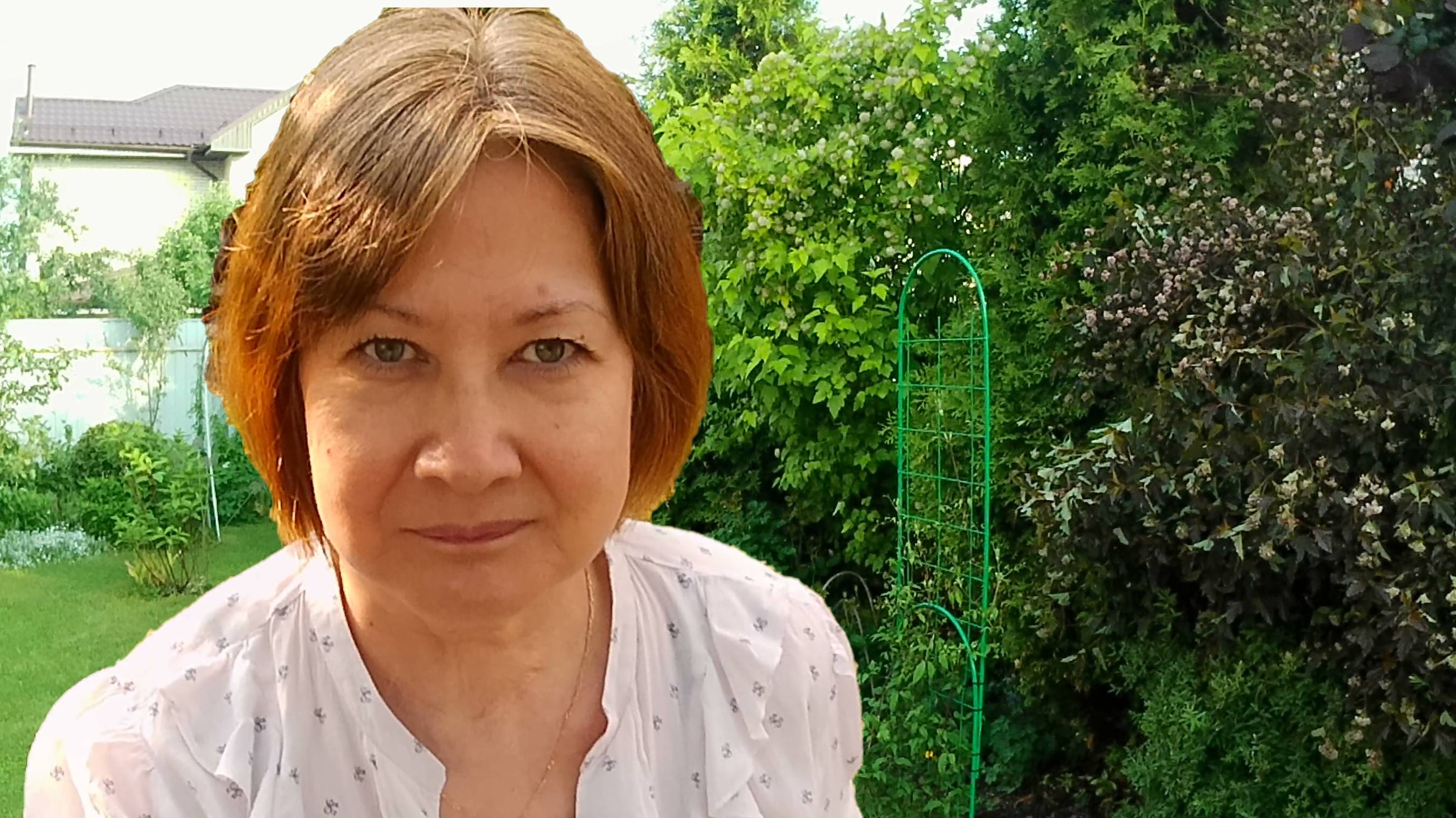 Ливень, град в Подмосковье. Проредила живую изгородь. Ландшафтный дизайн на 4 сотках