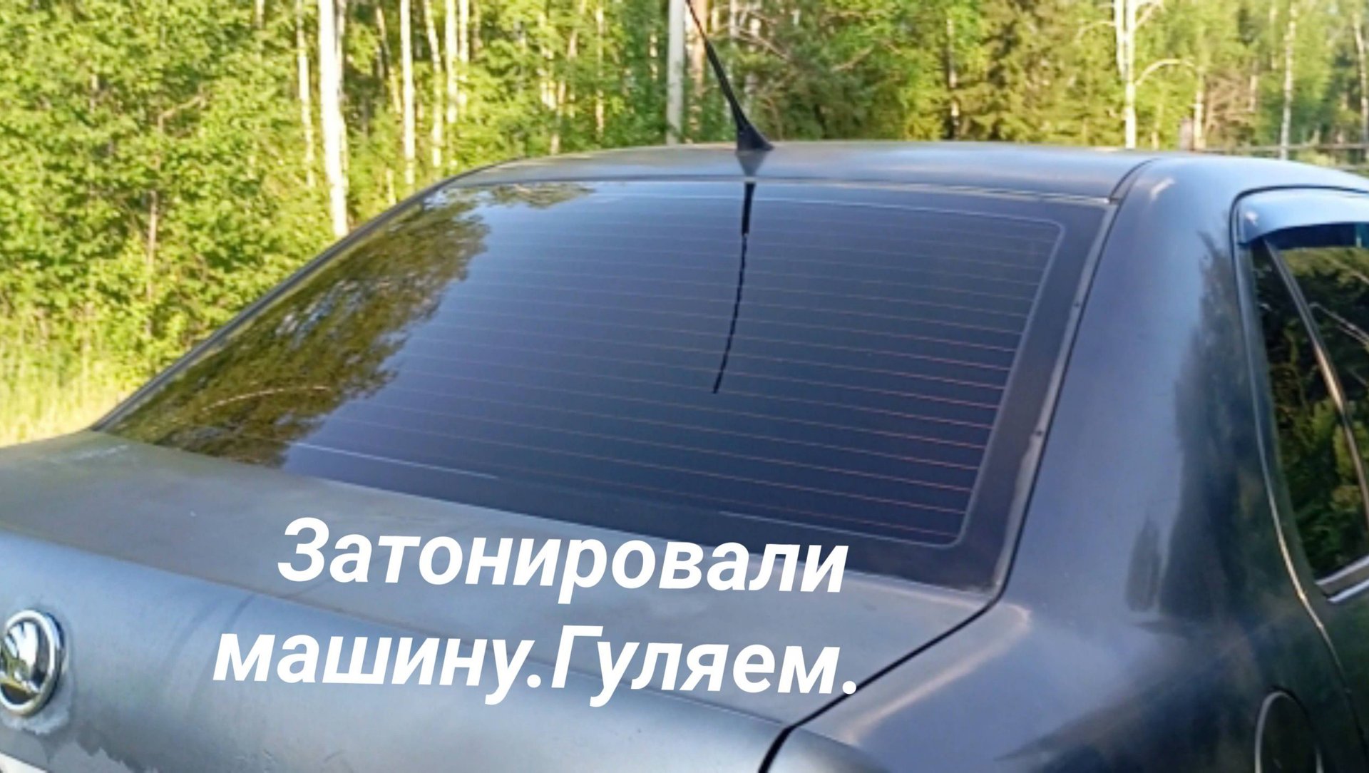 Затонировали машину. Гуляем.