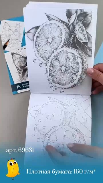 Книжка-раскраска для детей. Серия «Мои скетчи»