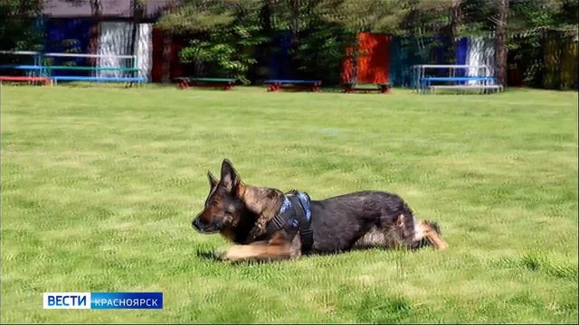 ГТРК Красноярск, В детском оздоровительном лагере ГУФСИН начался летний сезон