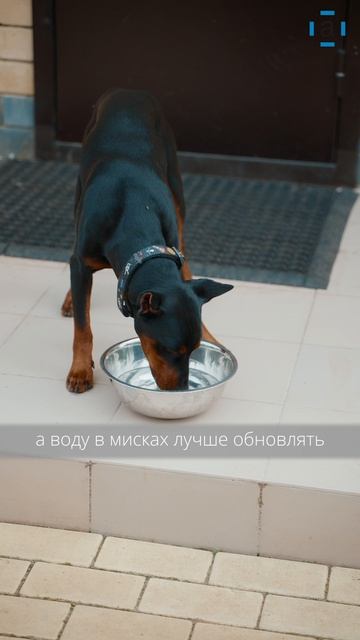 Жаркие денечки