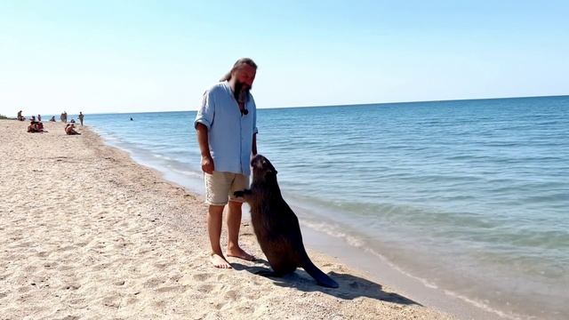 Нейросети: Кукуруза, чурчхела... Бобёр на пляже в Сочи